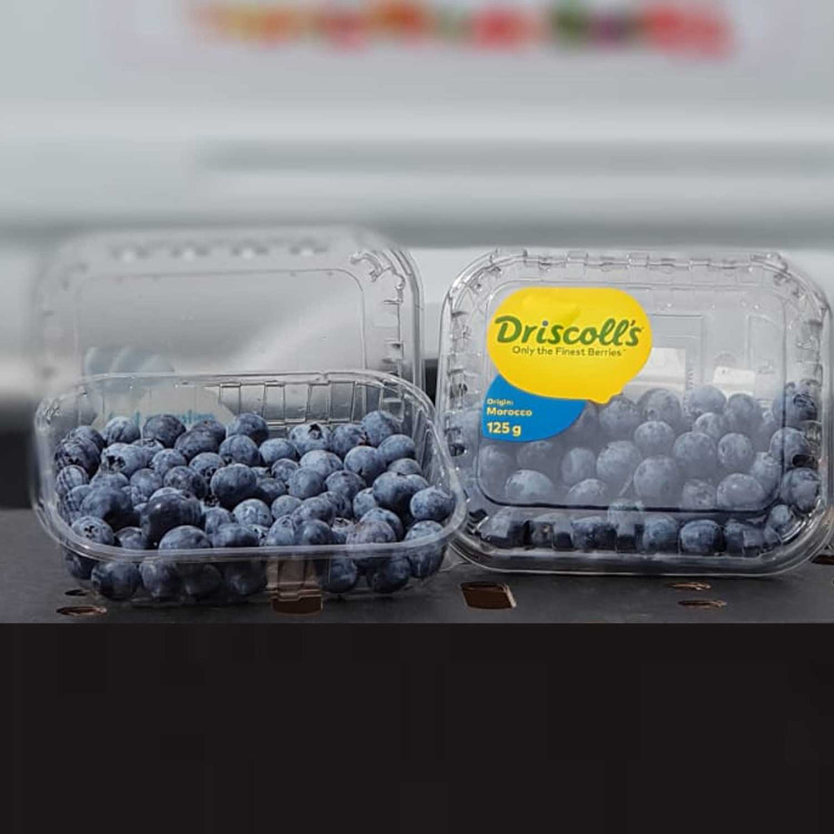 Blueberries – Man Foods